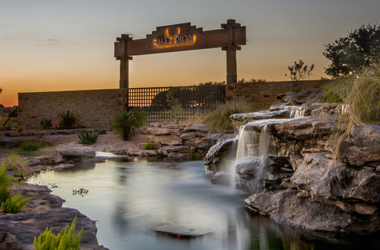 History - Champion Ranch