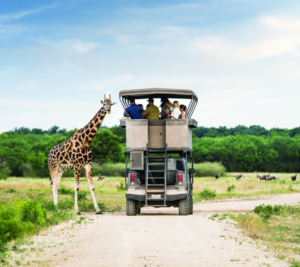 Premier Texas Hunting Ranch & Resort | Champion Ranch